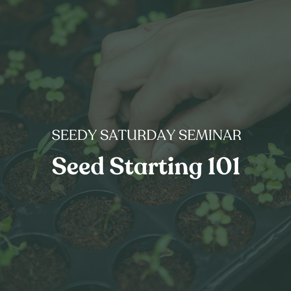 Seed Starting 101 - GardenKitchener