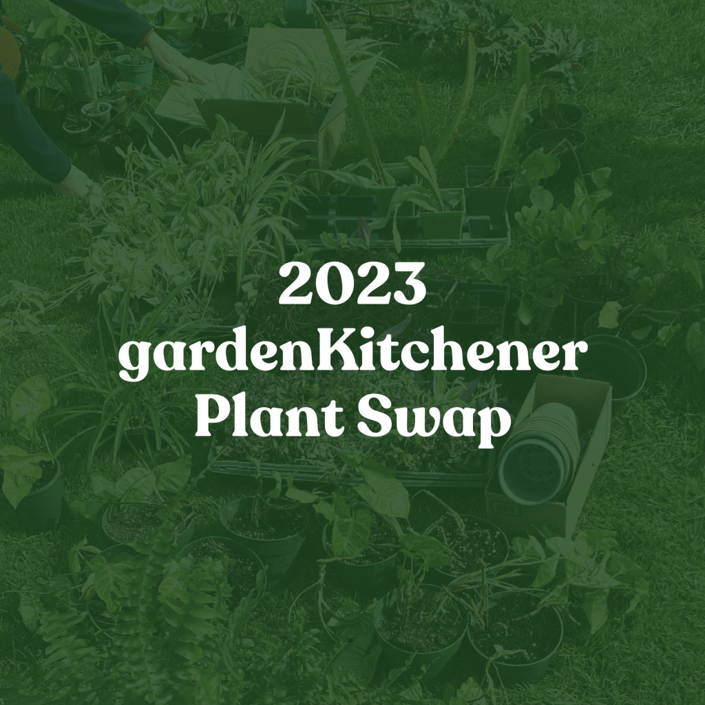 The 2023 Plant Swap - GardenKitchener
