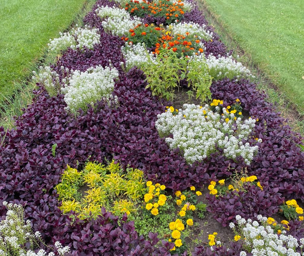 Annual Planting: From Concept to Design to Planting - GardenKitchener