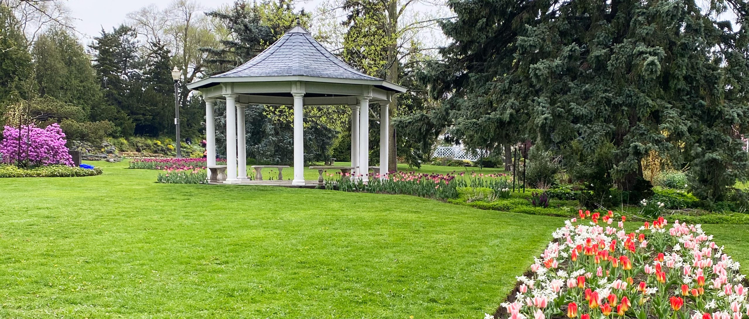 gardenKitchener | Kitchener Horticultural Society